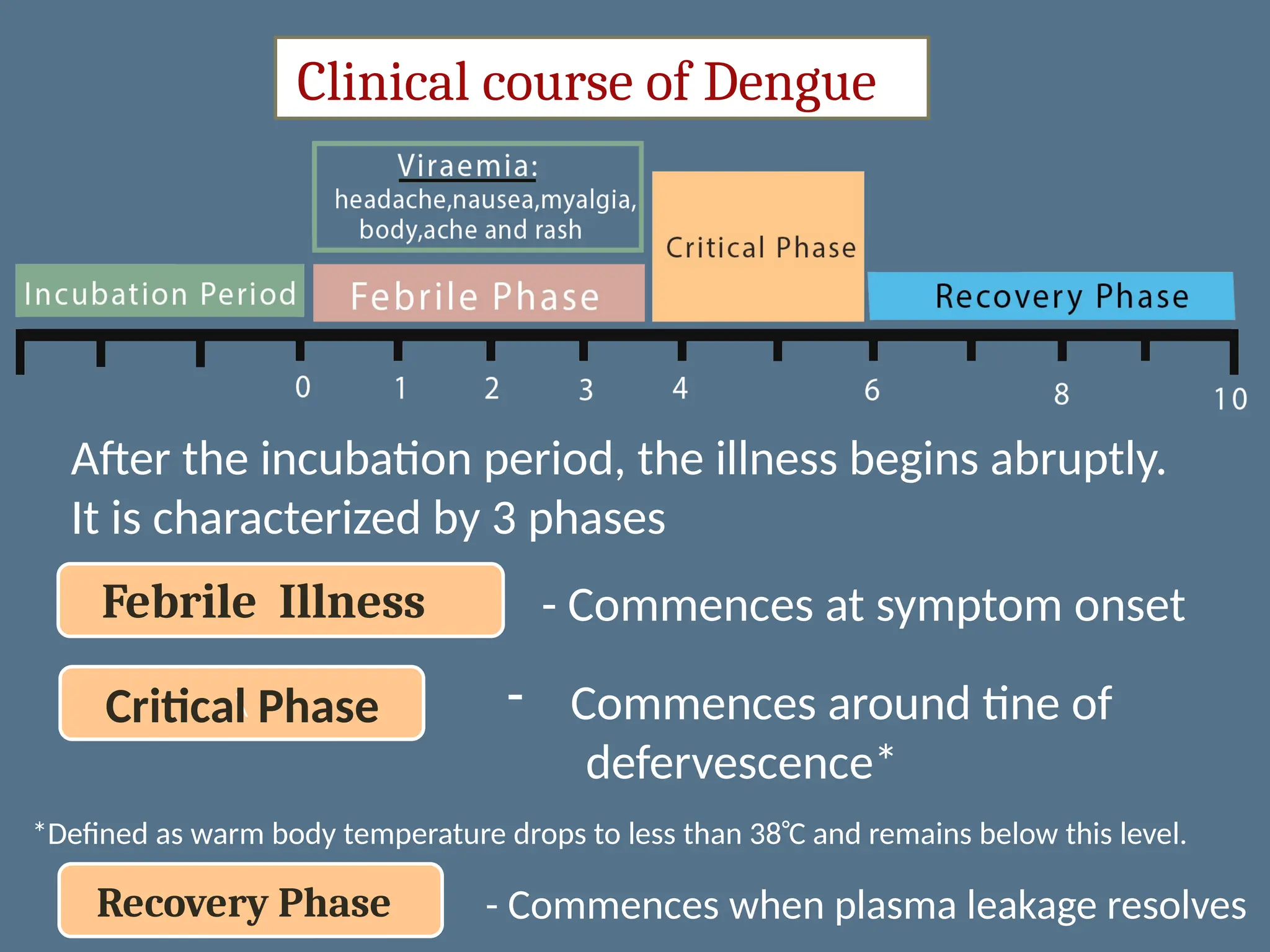 436357762-Dengue-Prevention-Control-Program.pptx
