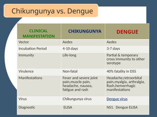 436357762-Dengue-Prevention-Control-Program.pptx