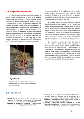 Anatomía de las vías biliares importancia quirúrgica | PDF
