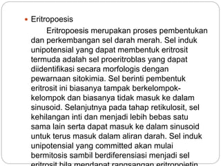 437313358-PPT-HEMATOPOIESIS.pptx
