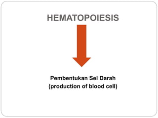 437313358-PPT-HEMATOPOIESIS.pptx