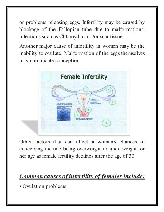 437572499-Biology-investigatory-project.docx