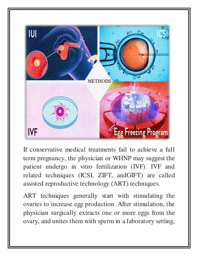 437572499-Biology-investigatory-project.docx
