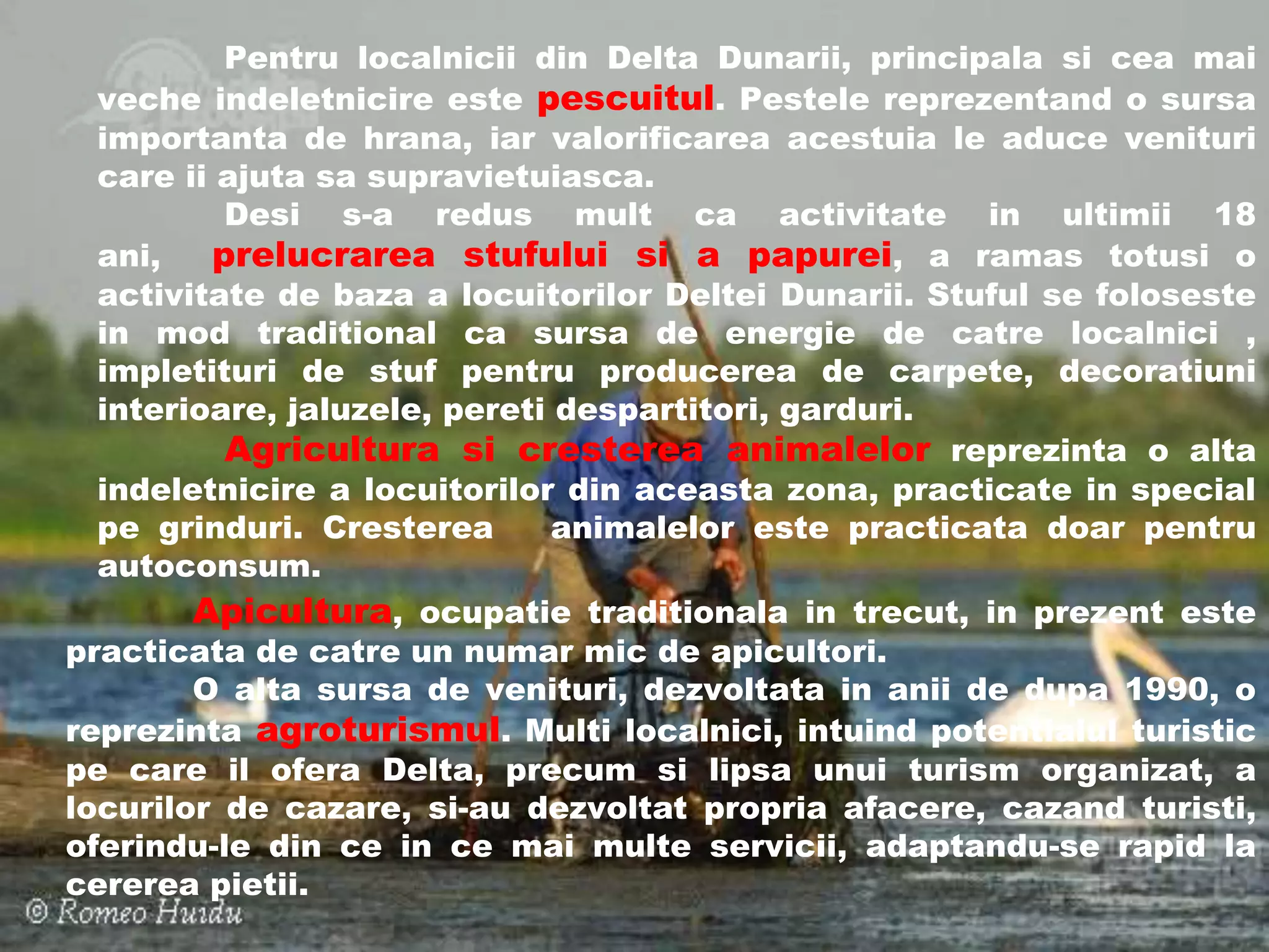 437876818-Delta-Dunarii-Ppt-Final.pptx