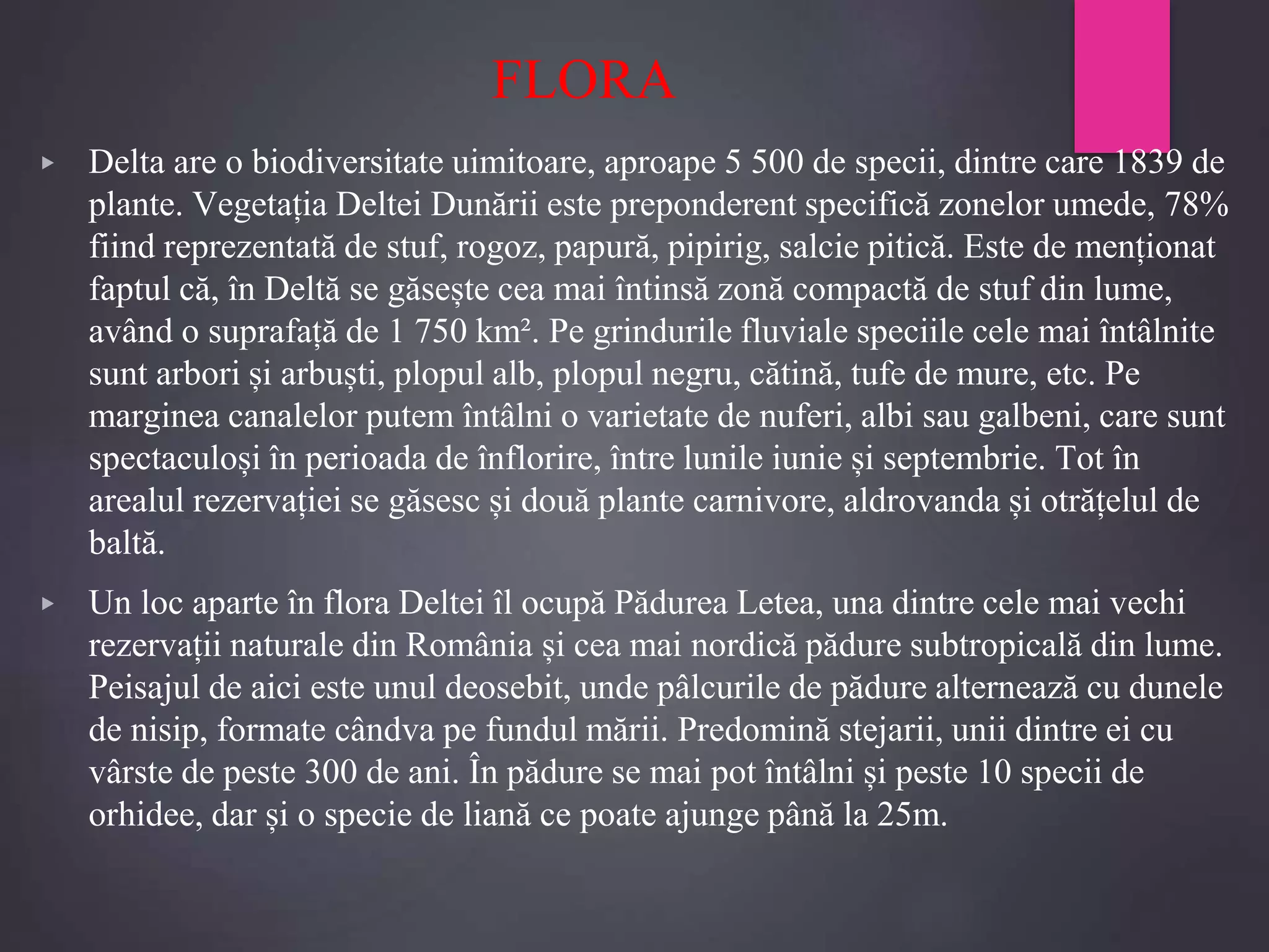 437876818-Delta-Dunarii-Ppt-Final.pptx