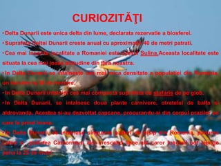 437876818-Delta-Dunarii-Ppt-Final.pptx