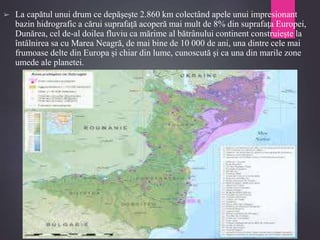 437876818-Delta-Dunarii-Ppt-Final.pptx