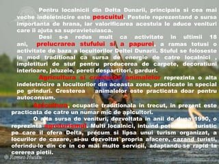 437876818-Delta-Dunarii-Ppt-Final.pptx