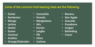 438321215-Importance-of-Planting-and-Propagating-Trees-and-Fruit ...