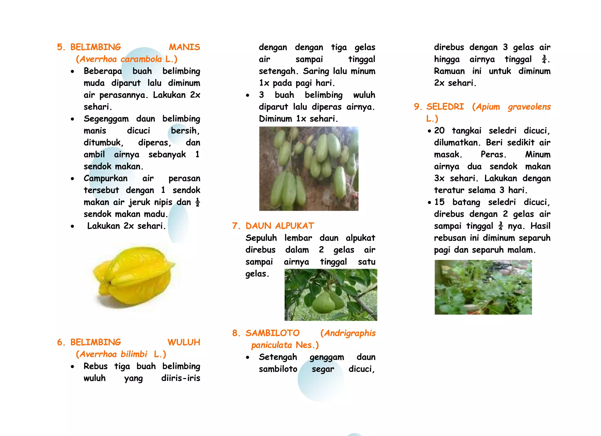 438502585-Ips-Leaflet-4-Ramuan-Tradisional-Hipertensi.doc