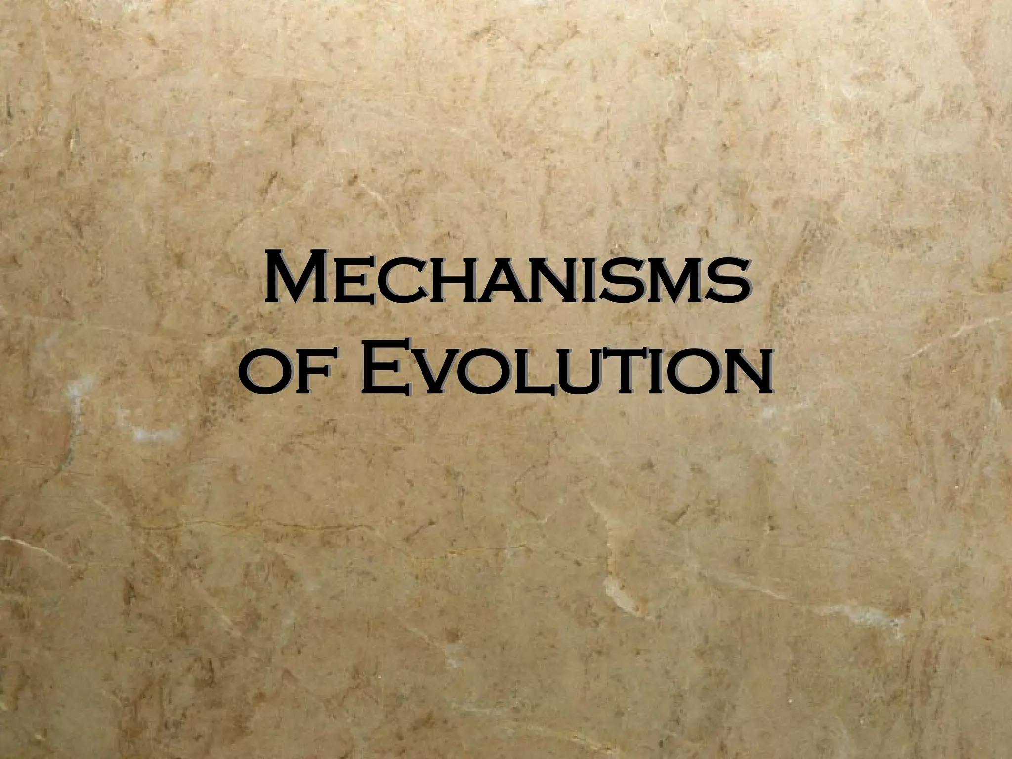 438770907-Mechanisms-of-Evolution-ppt.ppt. | PPT