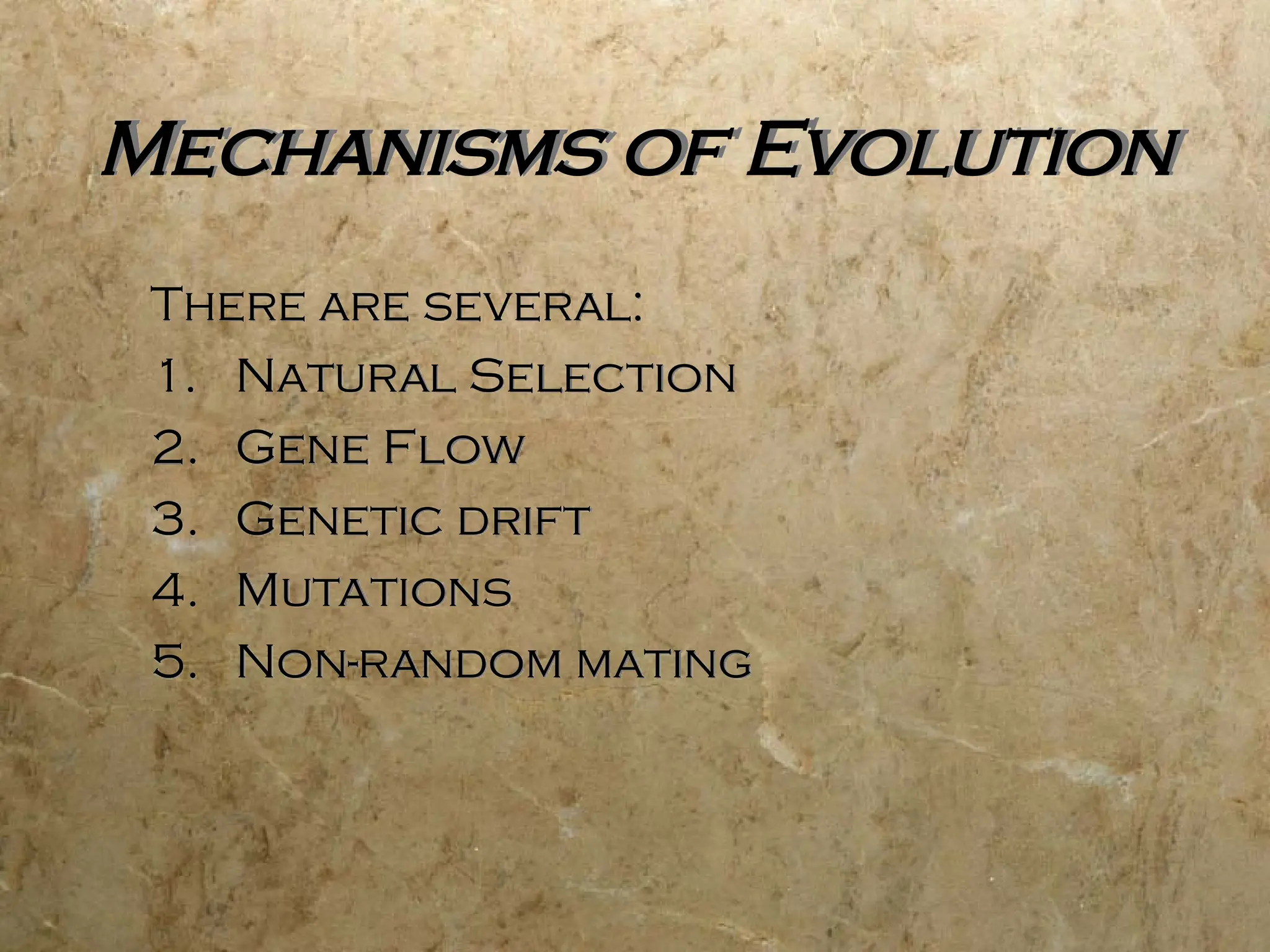 438770907-Mechanisms-of-Evolution-ppt.ppt. | PPT