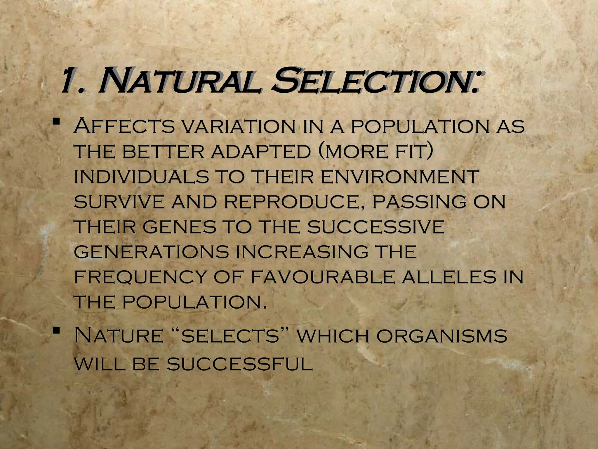 438770907-Mechanisms-of-Evolution-ppt.ppt. | PPT