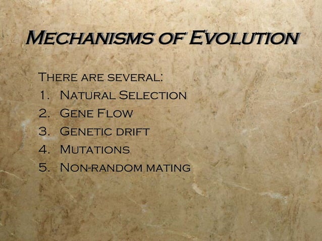 438770907-Mechanisms-of-Evolution-ppt.ppt. | PPT