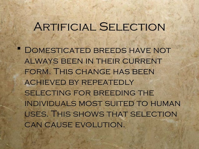 438770907-Mechanisms-of-Evolution-ppt.ppt. | PPT