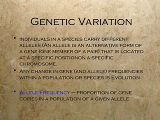 438770907-Mechanisms-of-Evolution-ppt.ppt. | PPT
