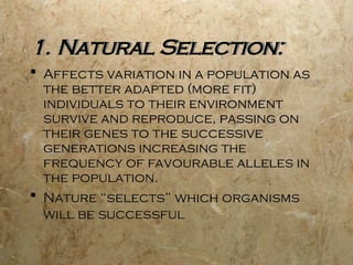 438770907-Mechanisms-of-Evolution-ppt.ppt. | PPT