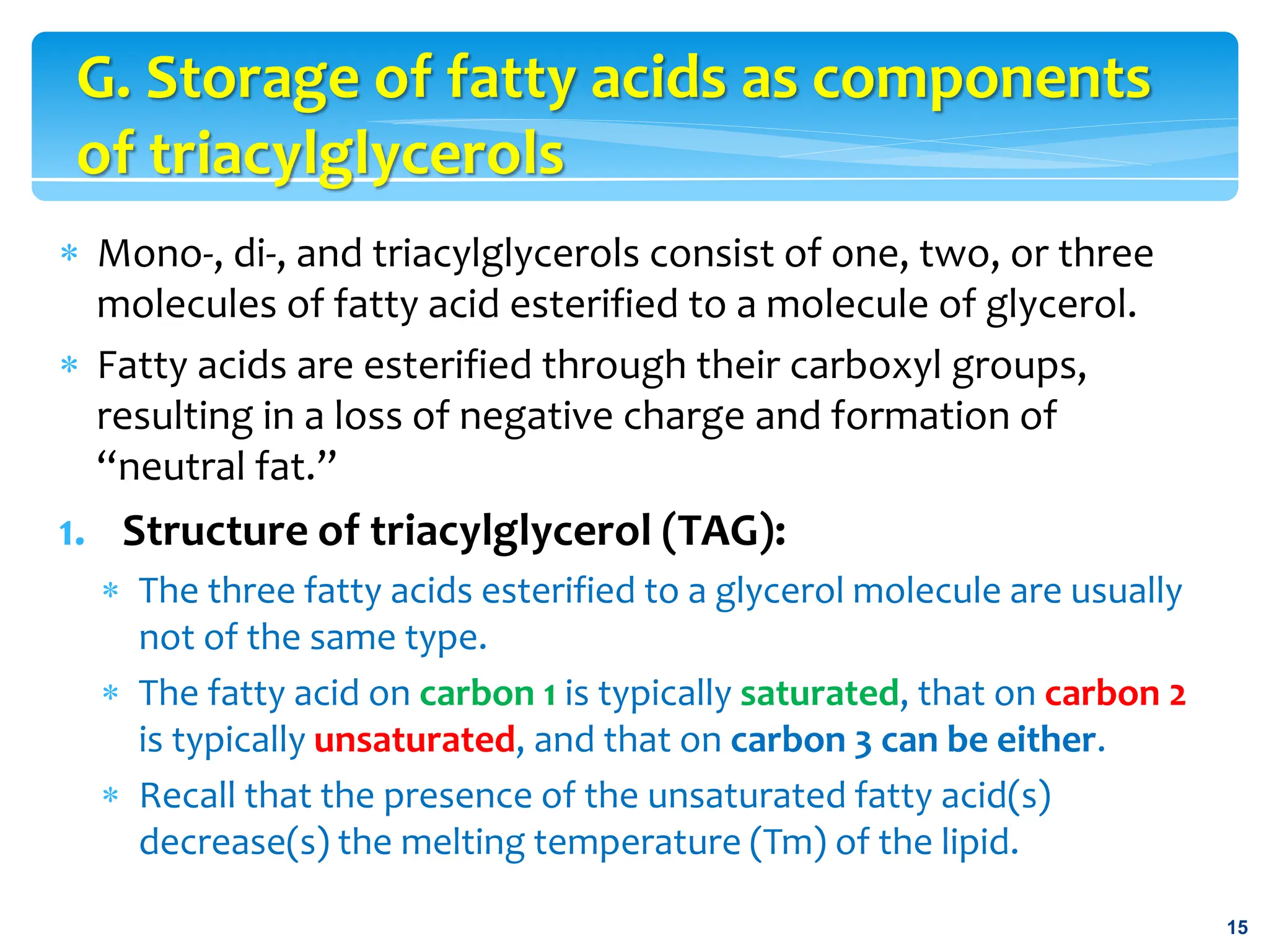 fatty acid and TAG metabolism | PPT