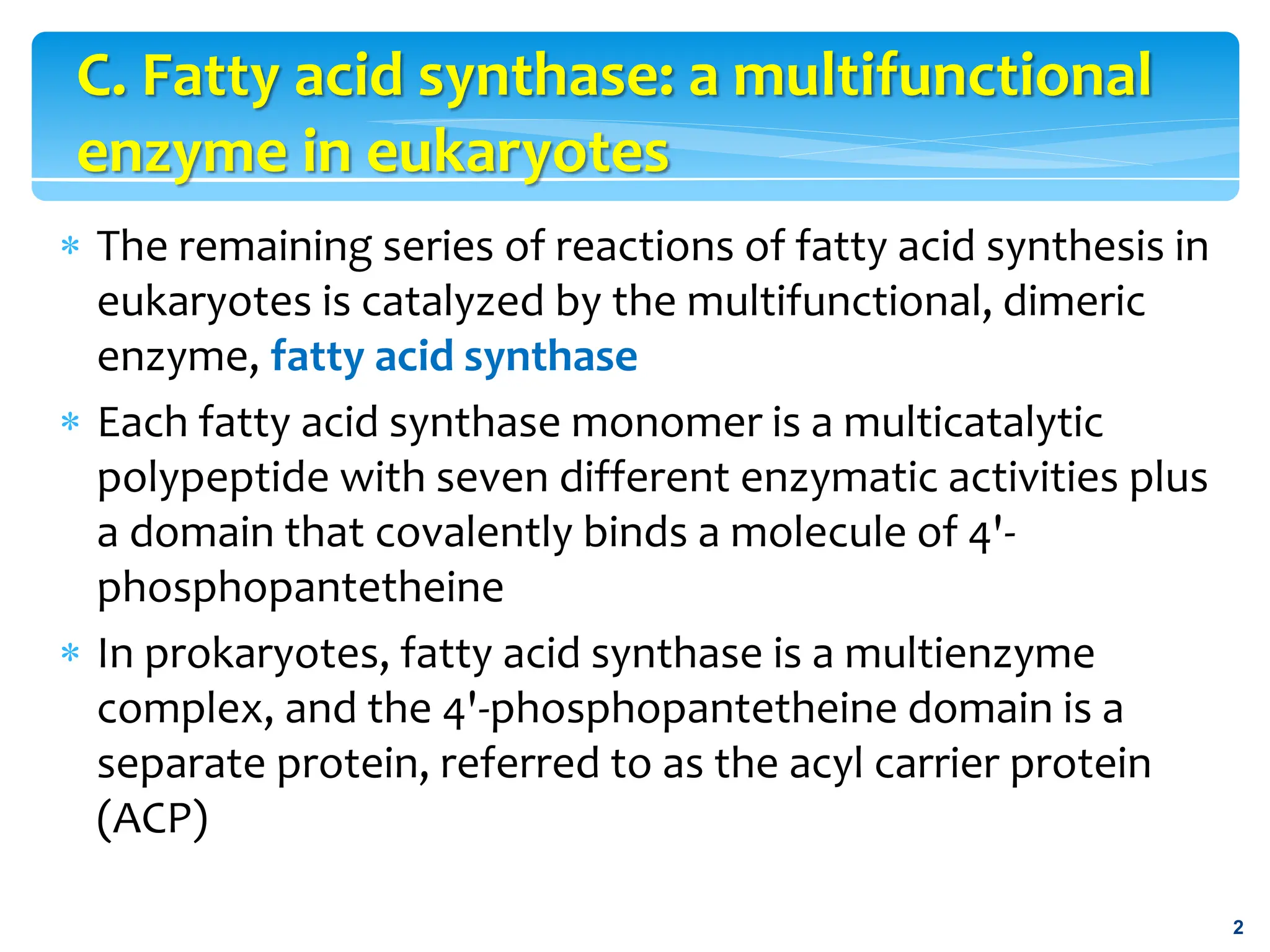 fatty acid and TAG metabolism | PPT
