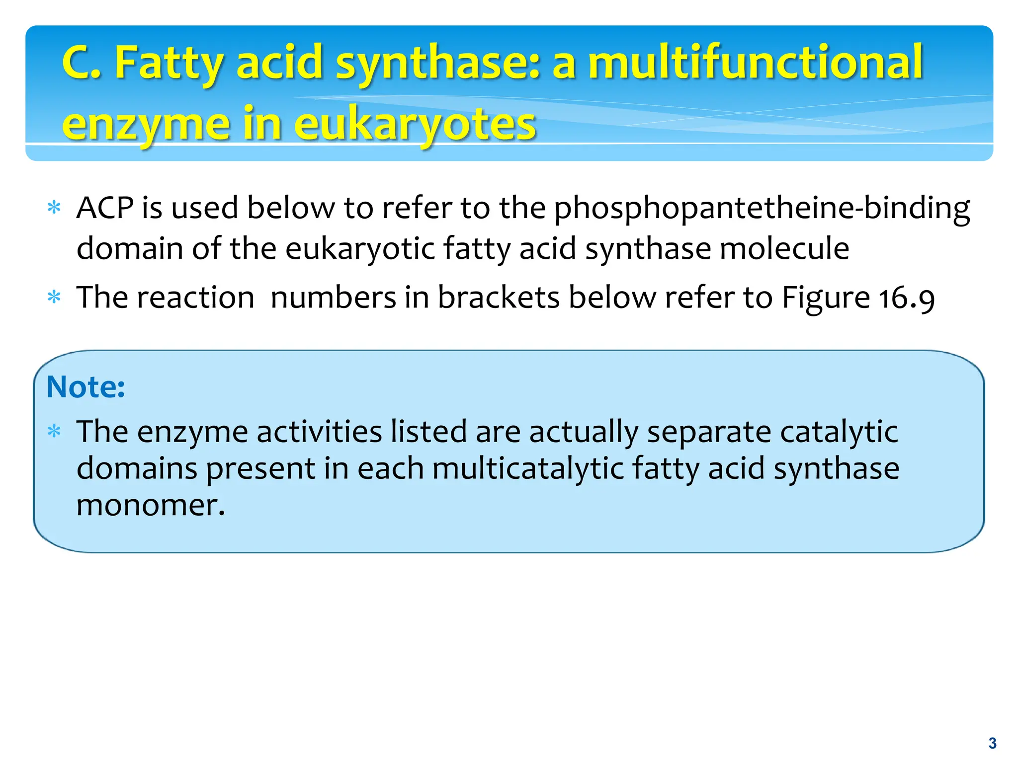 fatty acid and TAG metabolism | PPT