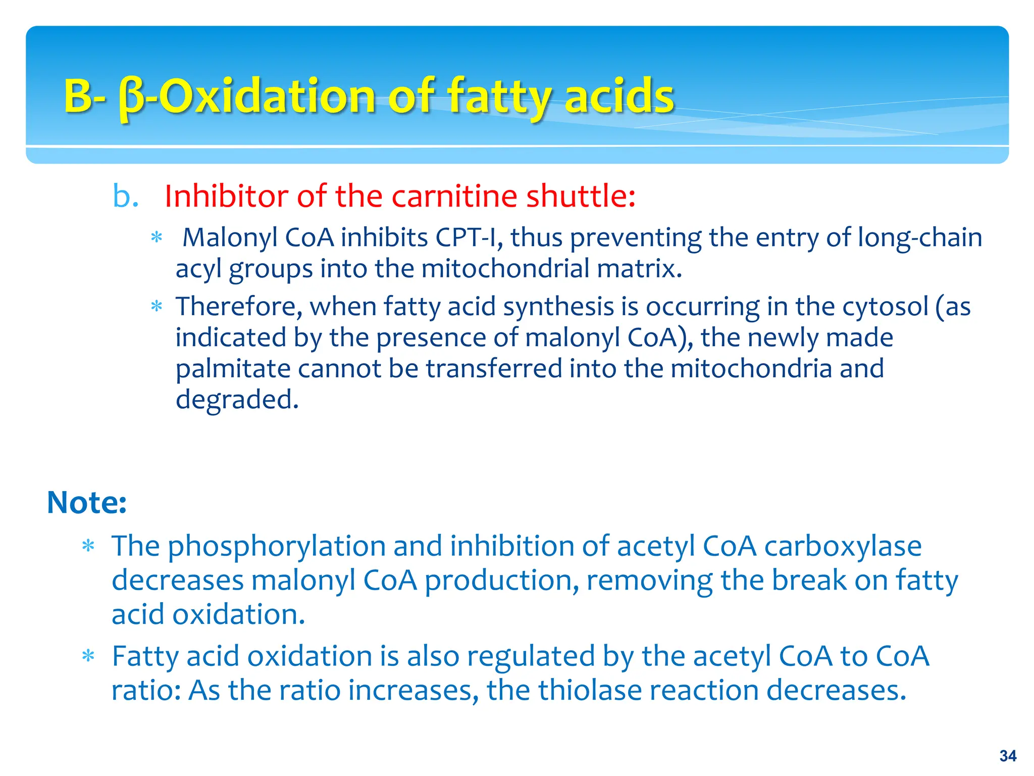 fatty acid and TAG metabolism | PPT