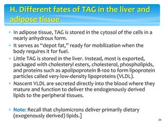 fatty acid and TAG metabolism | PPT