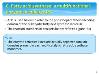 fatty acid and TAG metabolism | PPT