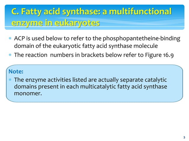fatty acid and TAG metabolism | PPT | Chemistry | Science