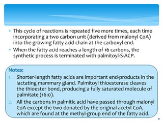 fatty acid and TAG metabolism | PPT
