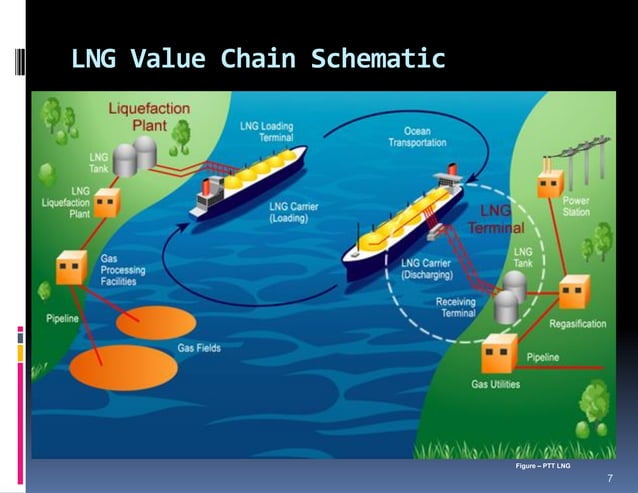 Value & Supply Chains | PDF