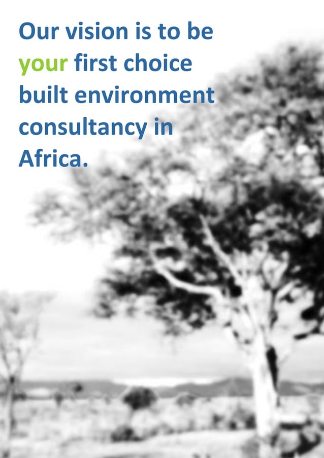 2016-Nuvo Capability Statement | PDF