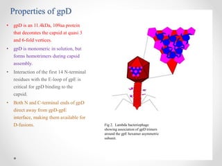 Research Presentation | PPTX | Chemistry | Science