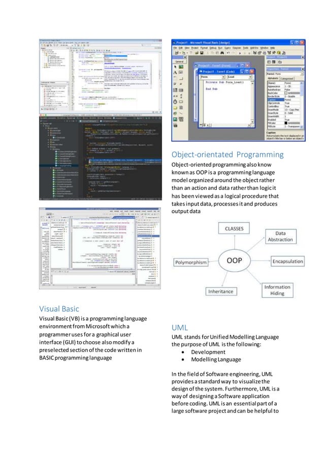 PROOFED - Programming Language for Business | DOCX