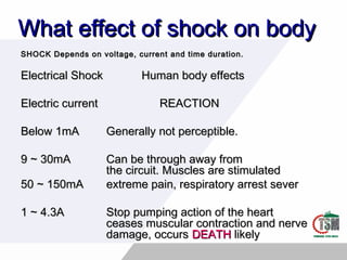 Controlling Electrical Hazards 03 | PPS