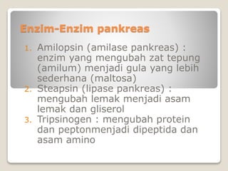 Ppt biokimia | PPT
