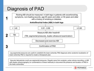 Diagnostic guidelines for peripheral arterial disease | PDF