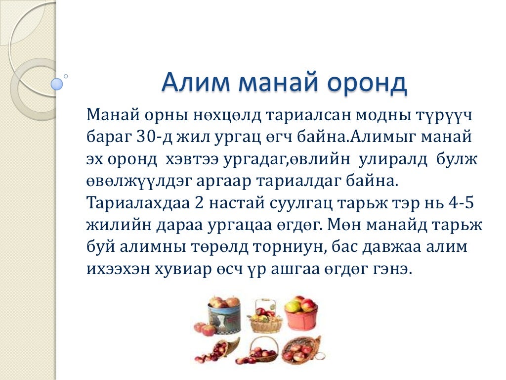 4 анги алимны мод 4 р анги монгол хэл цэрэн орших