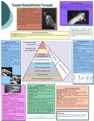 Tendon Rehabilitation Pyramid | PDF