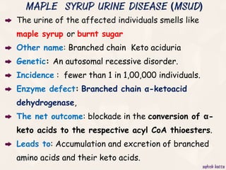 Metabolism of Brached Chain Amino Acid (Valine, Isoleucine, Leucine) | PPSX