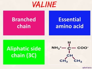 Metabolism of Brached Chain Amino Acid (Valine, Isoleucine, Leucine) | PPSX
