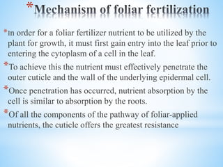 Influence of foliar application of micronutrients on pulses | PPTX