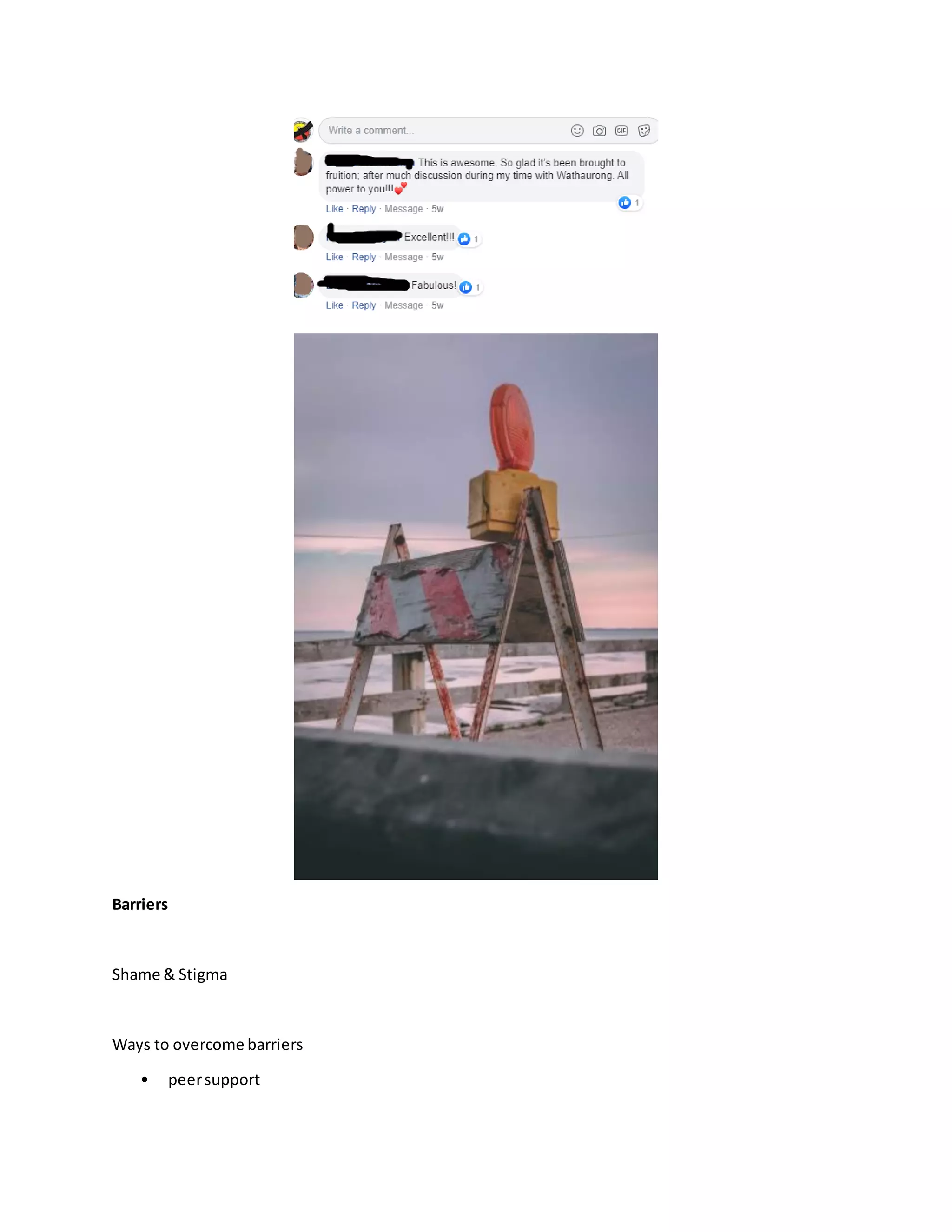 Naloxone Program | Penelope Wood | PDF