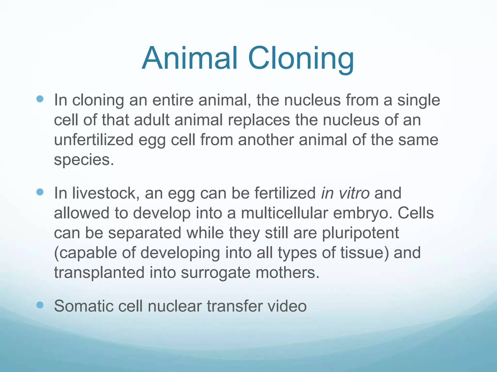 4.4 Biotechnology And Genetic Engineering | PPTX