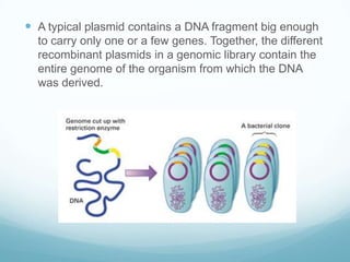 4.4 Biotechnology And Genetic Engineering | PPTX