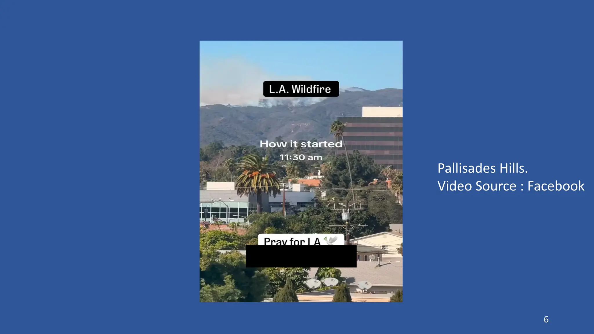 wild life fire at Los Angalese on 2025.pptx