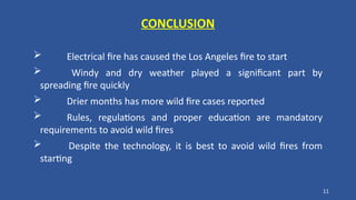 wild life fire at Los Angalese on 2025.pptx