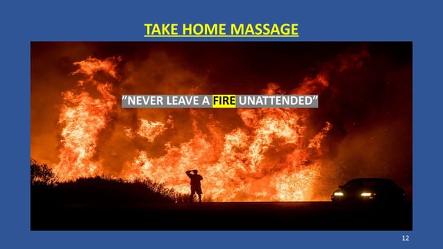 wild life fire at Los Angalese on 2025.pptx