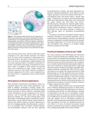 Govrin et al- Lightweight Breast Implants | PDF