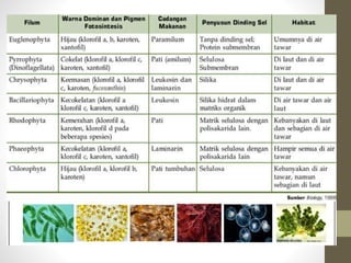 443016507-Sediaan-obat-PHYCOPHYTA-MYOPHYTA-dan-MYCOPHYTA-pptx.pptx