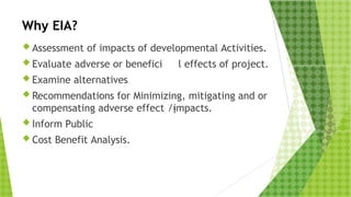 443737614-1-Structure-of-EIA-Report.pptx